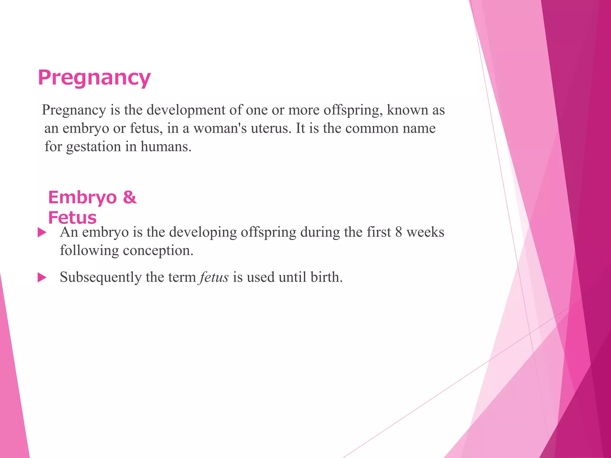 Pregnancy & Different Stages | PPTX