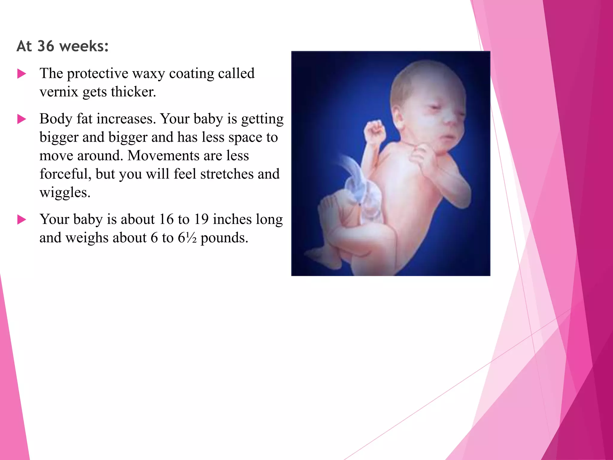 Pregnancy & Different Stages | PPTX