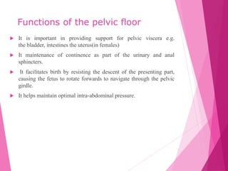 Pregnancy & Different Stages | PPTX