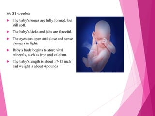 Pregnancy & Different Stages | PPTX