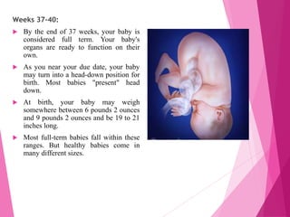 Pregnancy & Different Stages | PPTX