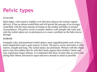 Pregnancy & Different Stages | PPTX