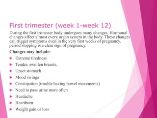 pregnancy-200718194047. 2.pdf