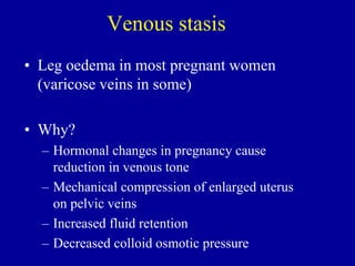 Pregnancy.pdf | Free Download