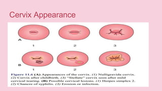 Pregnancy-assessment-NCM-107-2022-Copy (1).pptx
