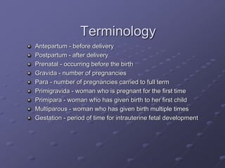 pregnancy111.ppt