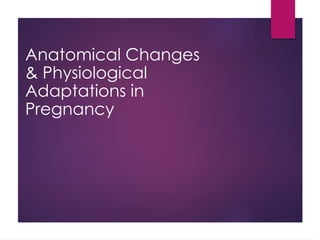 Pregnancy Adaptations Lecture -anatomical and physiological changes in ...