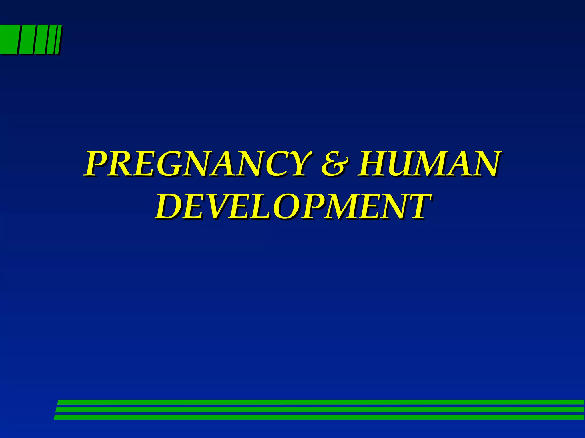 Pregnancy and human_development | PPT