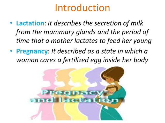 Pregnancy and lactation | PPTX
