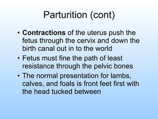 Pregnancy and parturition | PPT