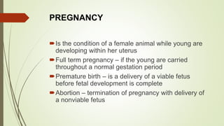 Pregnancy and parturition report | PPTX