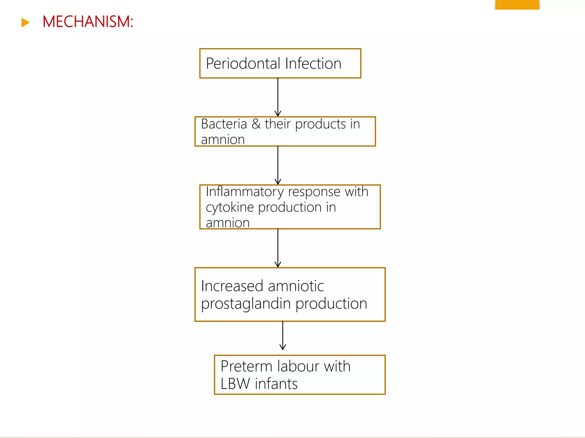 Periodontal disease and pregnancy | PPTX