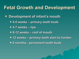 Pregnancy And Your Oral Health | PPT