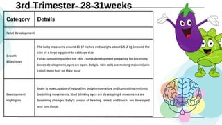 Comprehensive Guide to Pregnancy Changes and Care Tips | PDF