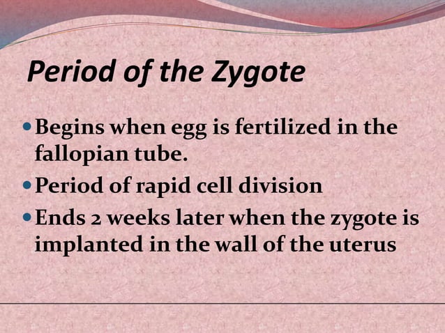 Pregnancy, conception and-birth | PPT | Pregnancy | Reproductive Health