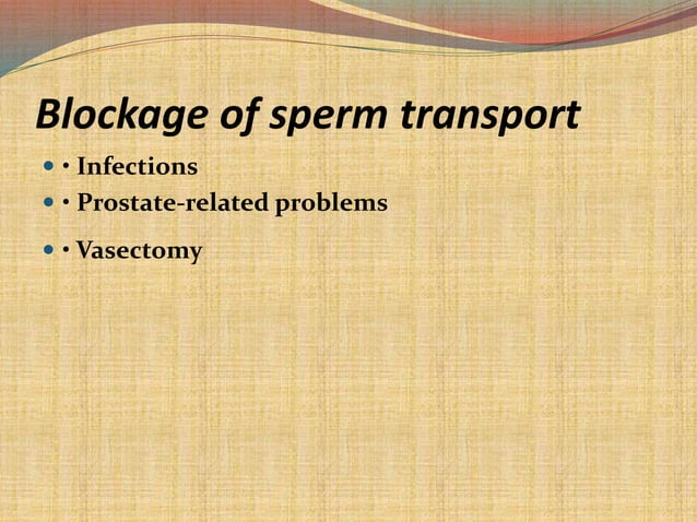 Pregnancy, conception and-birth | PPT | Pregnancy | Reproductive Health