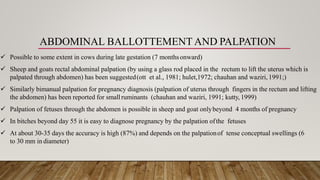 Pregnancy detection in different animals | PPTX