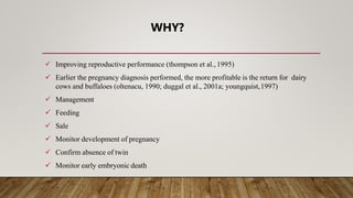 Pregnancy detection in different animals | PPTX