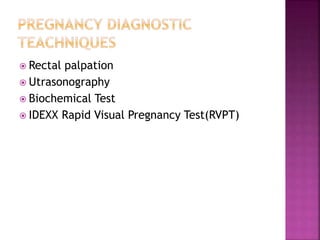Pregnancy diagnosis.pptx