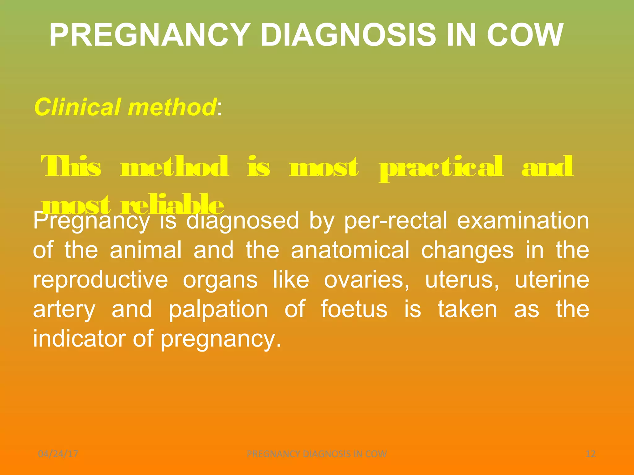 Pregnancy diagnosis in cow lecture 6 | PPT