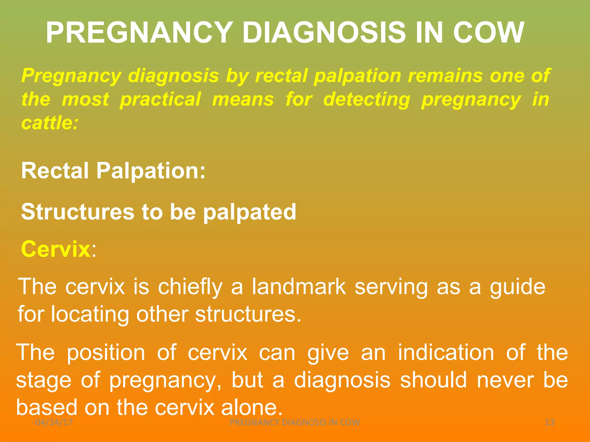 Pregnancy diagnosis in cow lecture 6 | PPT