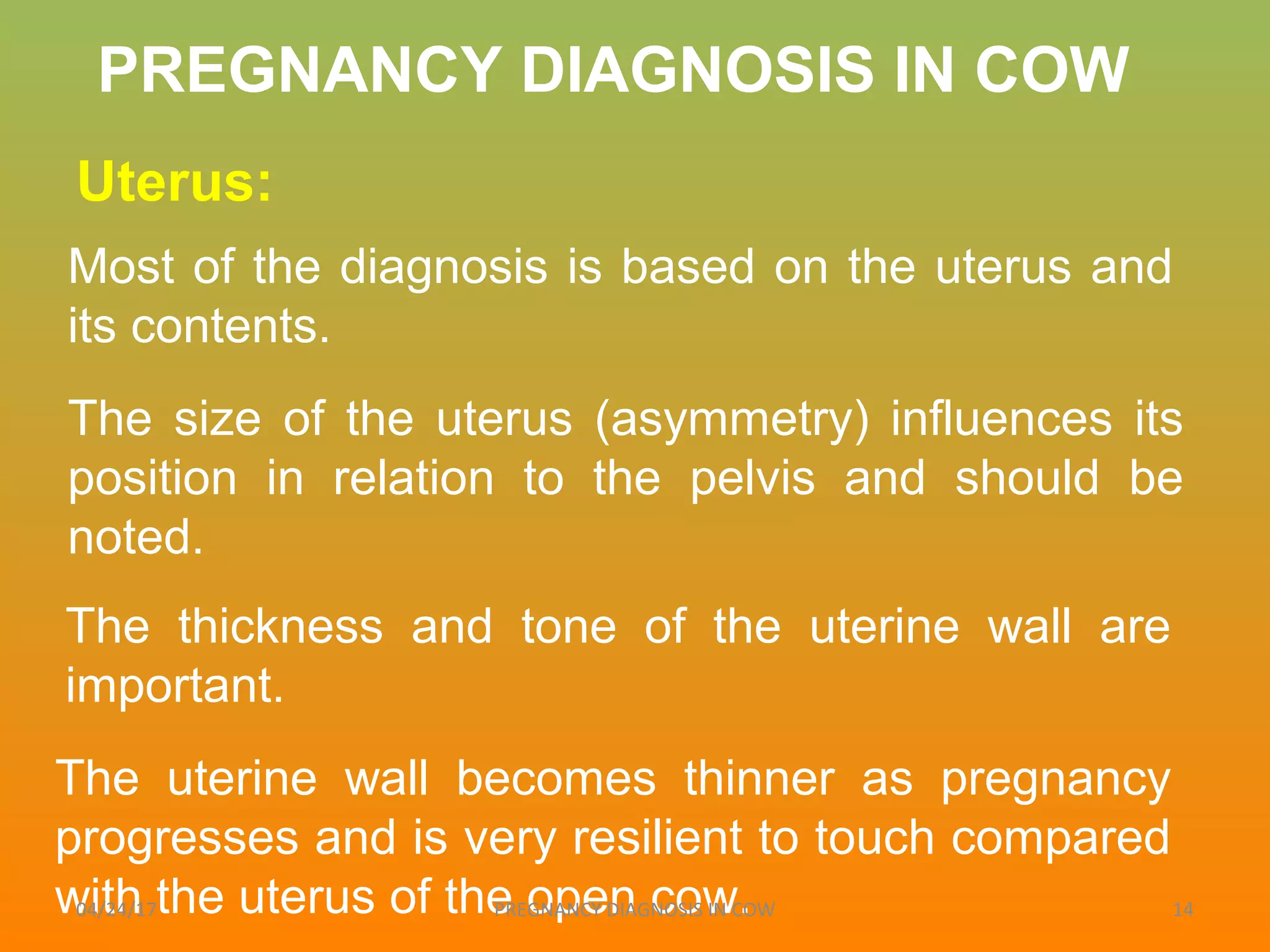 Pregnancy diagnosis in cow lecture 6 | PPT