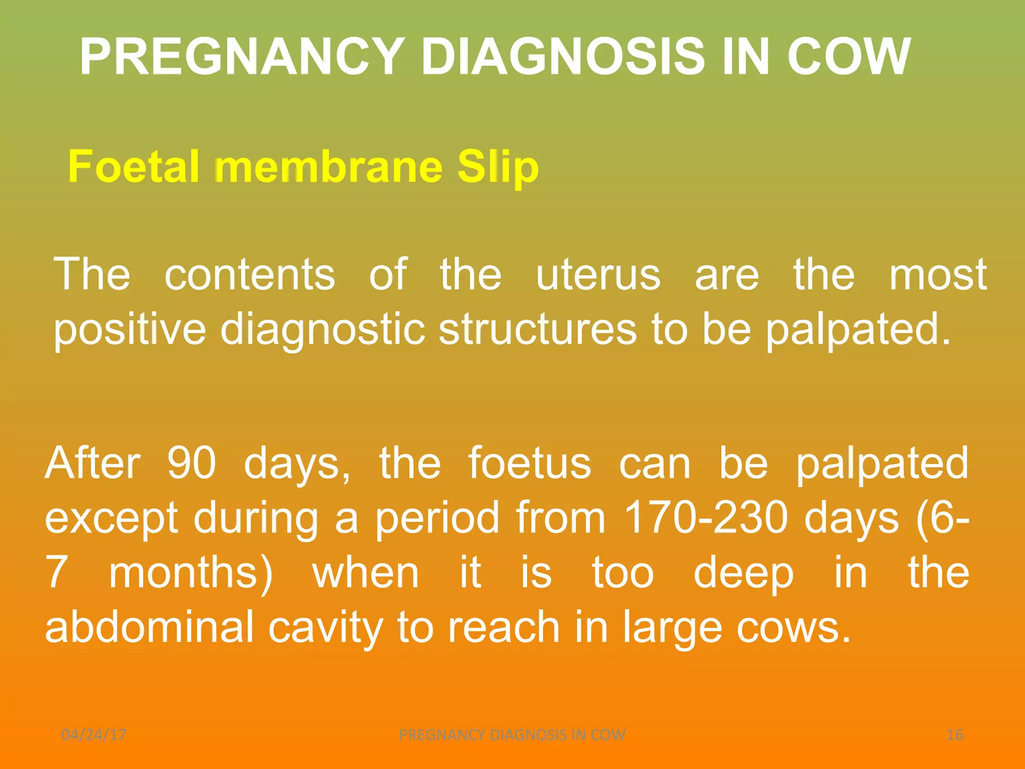 Pregnancy diagnosis in cow lecture 6 | PPT