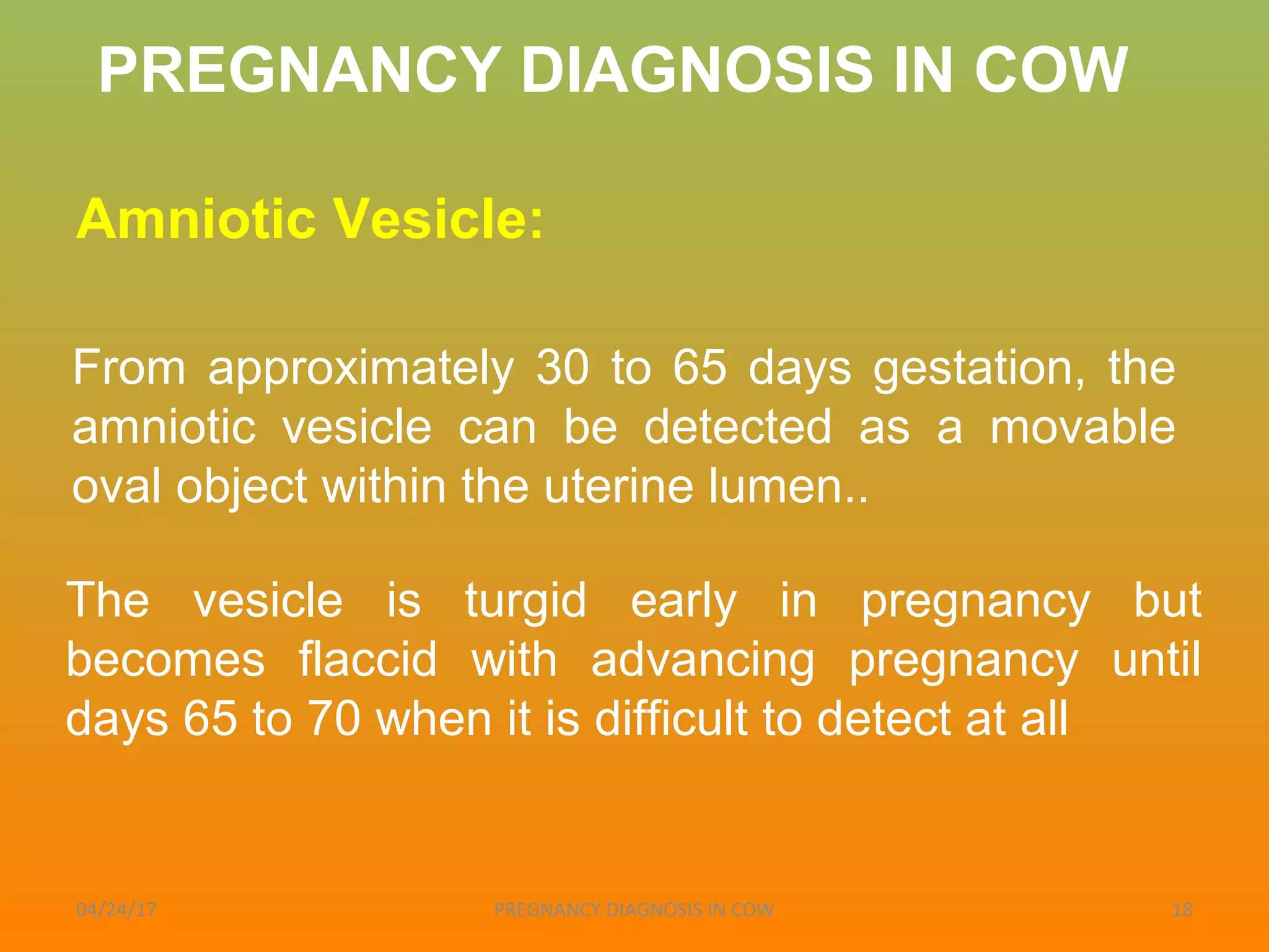 Pregnancy diagnosis in cow lecture 6 | PPT