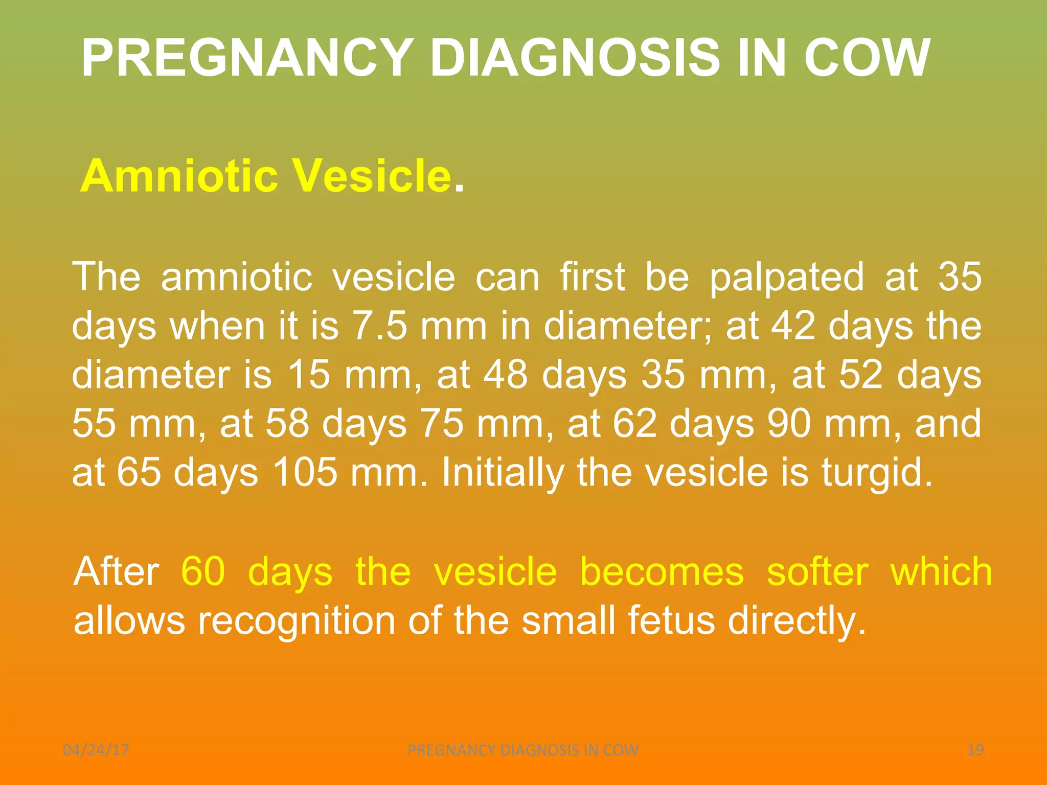 Pregnancy diagnosis in cow lecture 6 | PPT