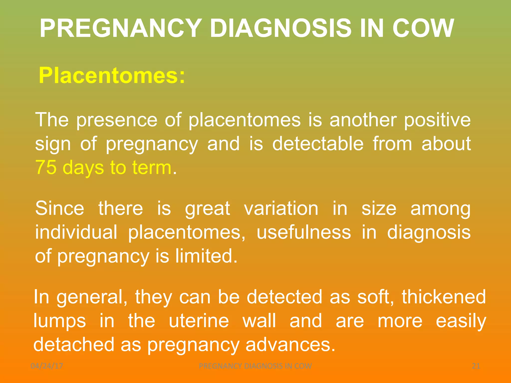 Pregnancy diagnosis in cow lecture 6 | PPT