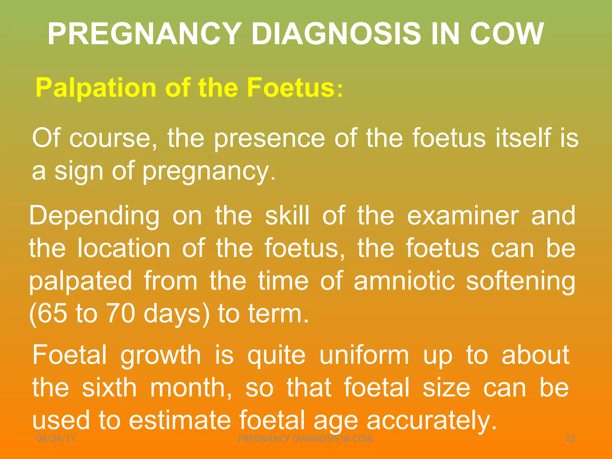 Pregnancy diagnosis in cow lecture 6 | PPT