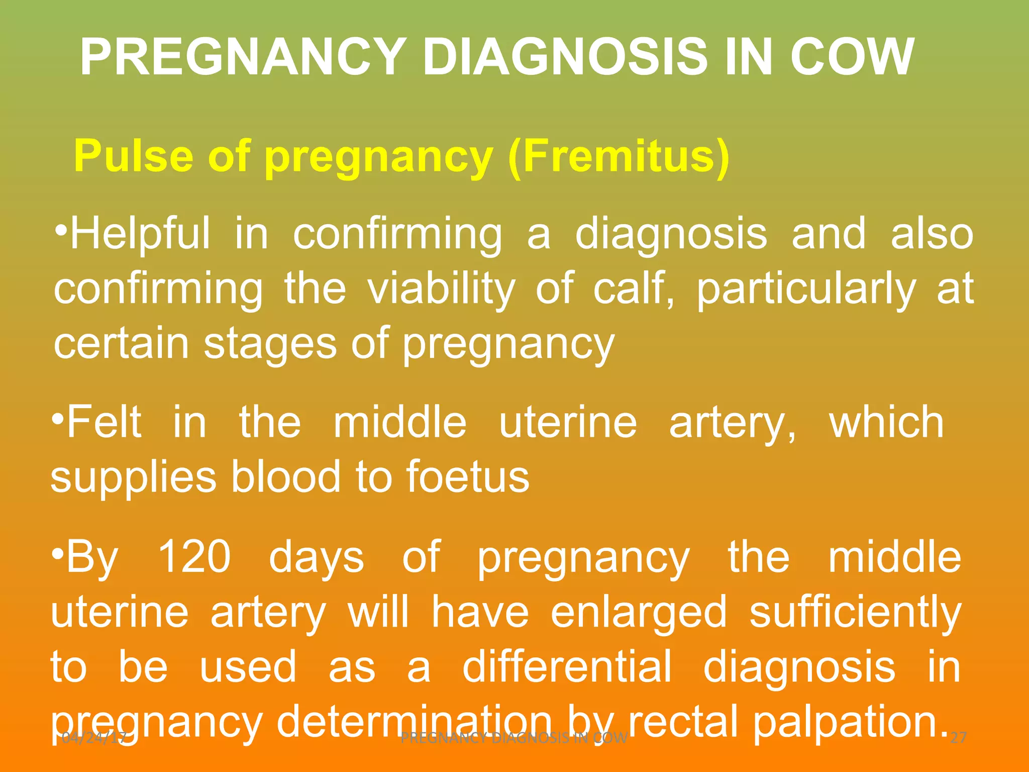Pregnancy diagnosis in cow lecture 6 | PPT