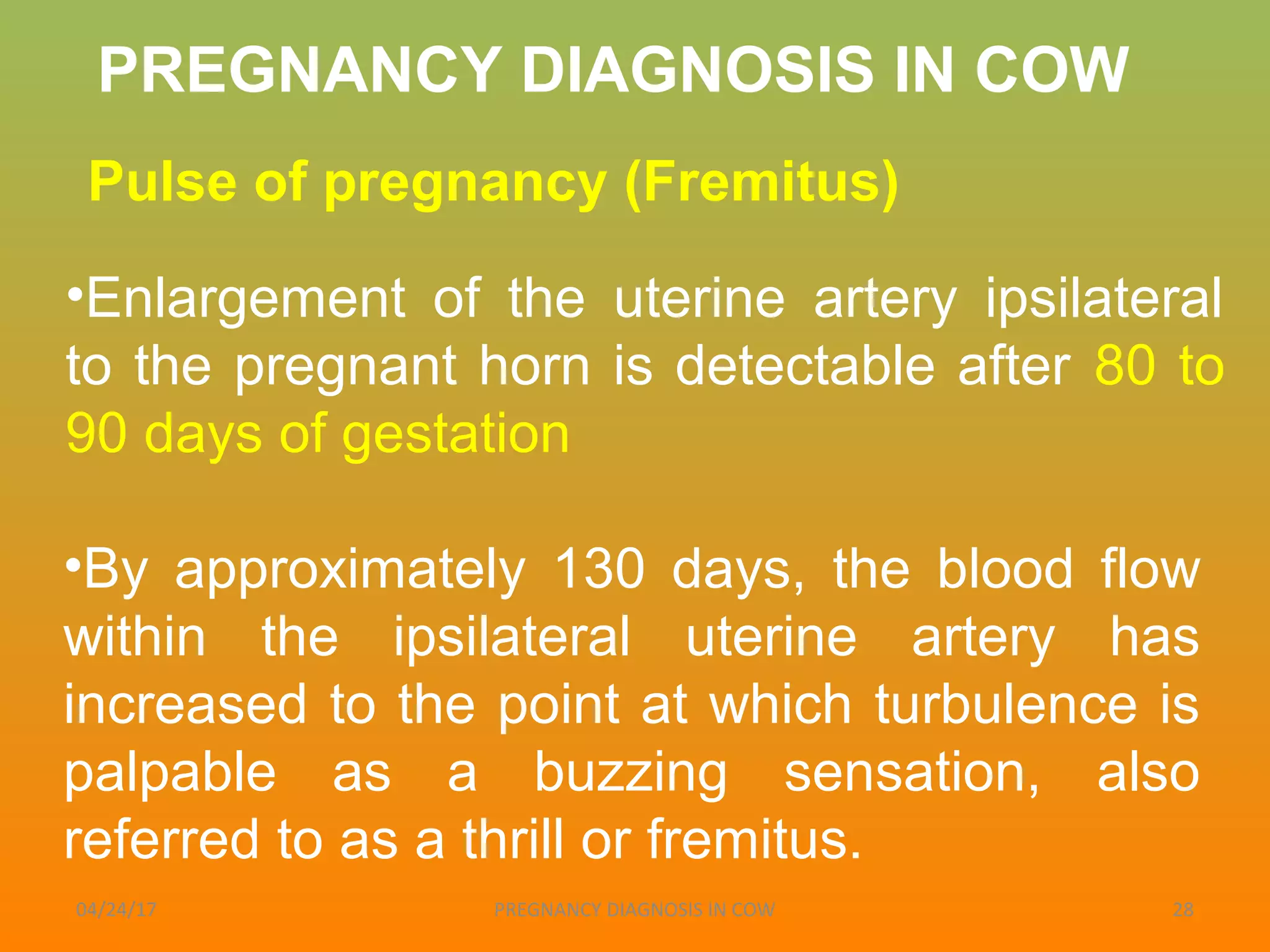 Pregnancy diagnosis in cow lecture 6 | PPT