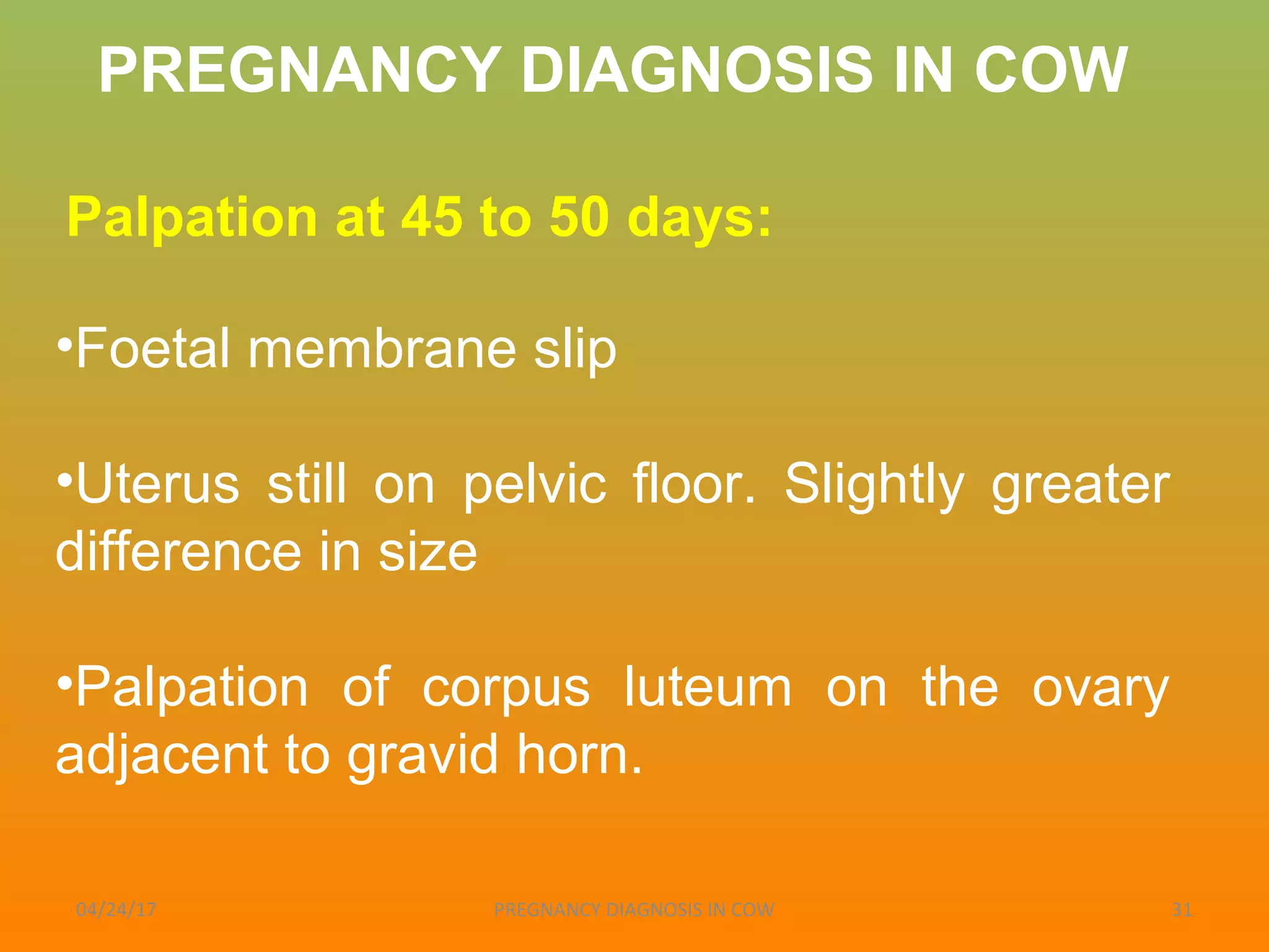 Pregnancy diagnosis in cow lecture 6 | PPT
