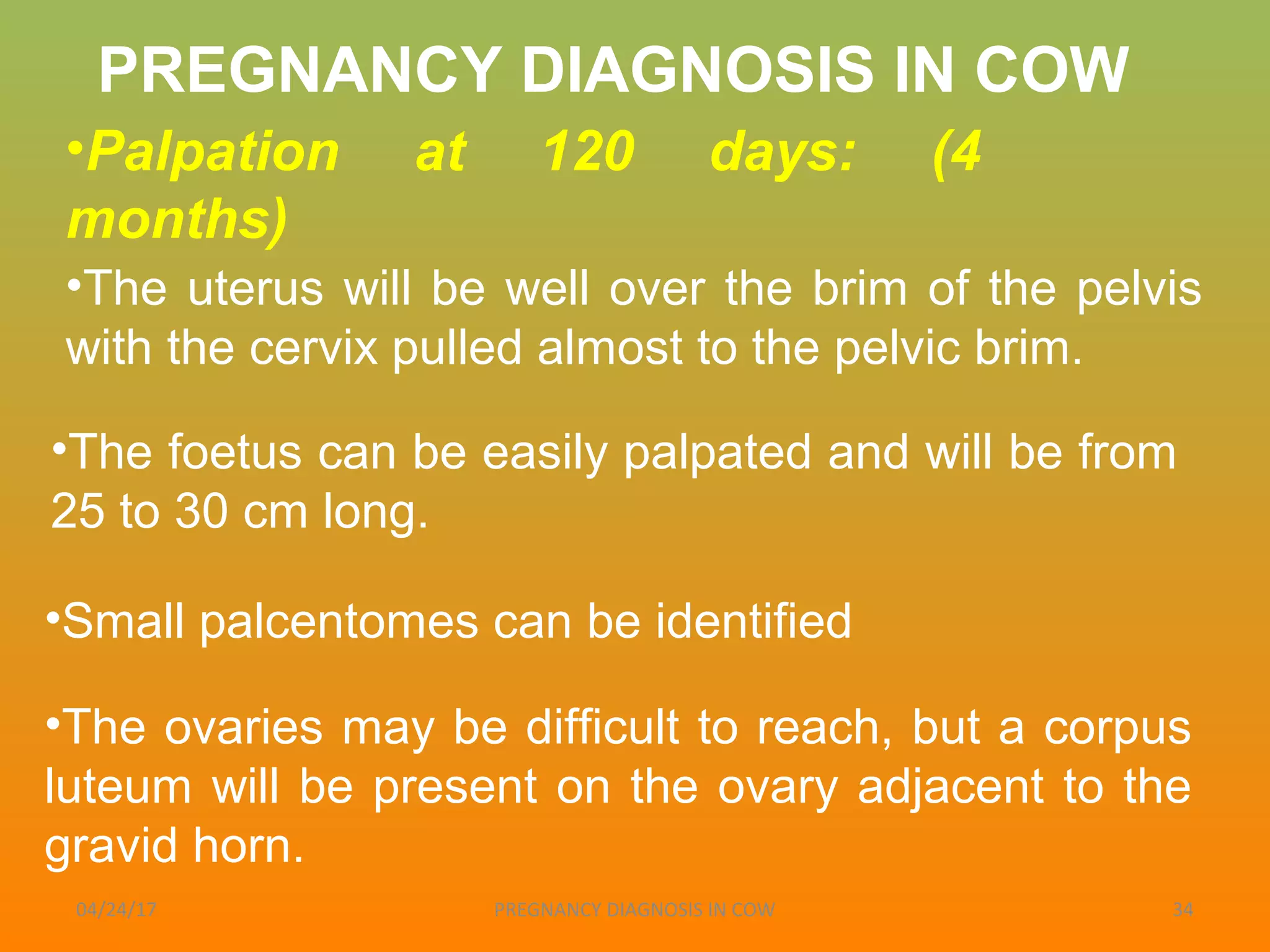 Pregnancy diagnosis in cow lecture 6 | PPT