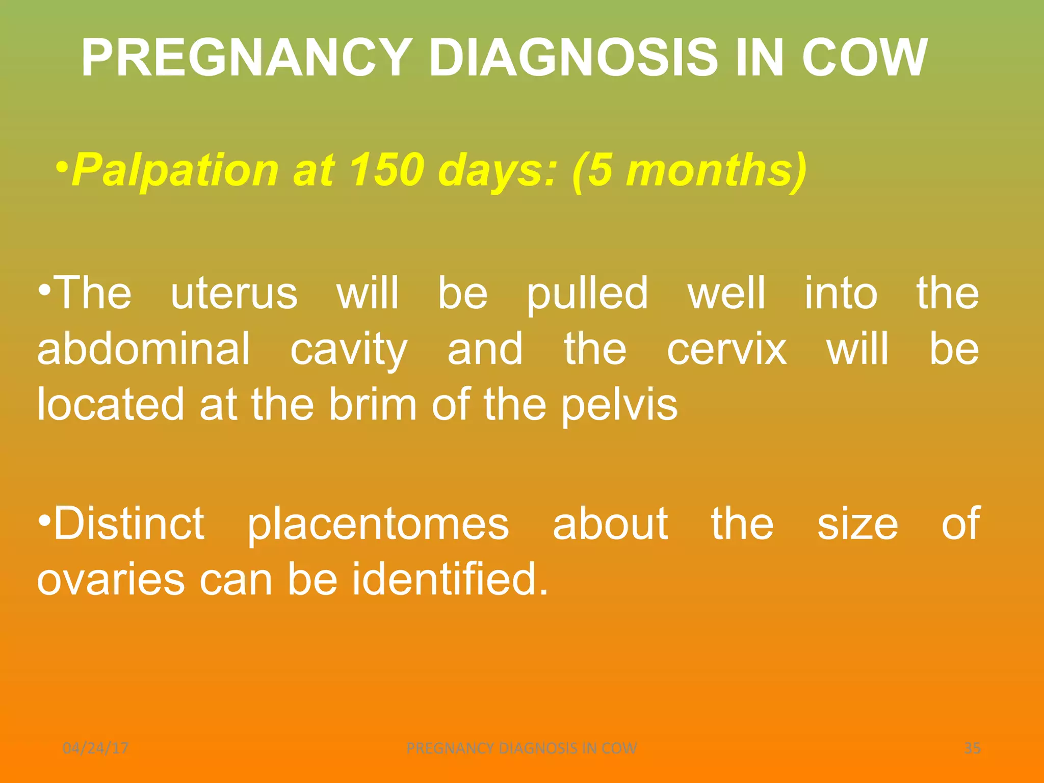 Pregnancy diagnosis in cow lecture 6 | PPT