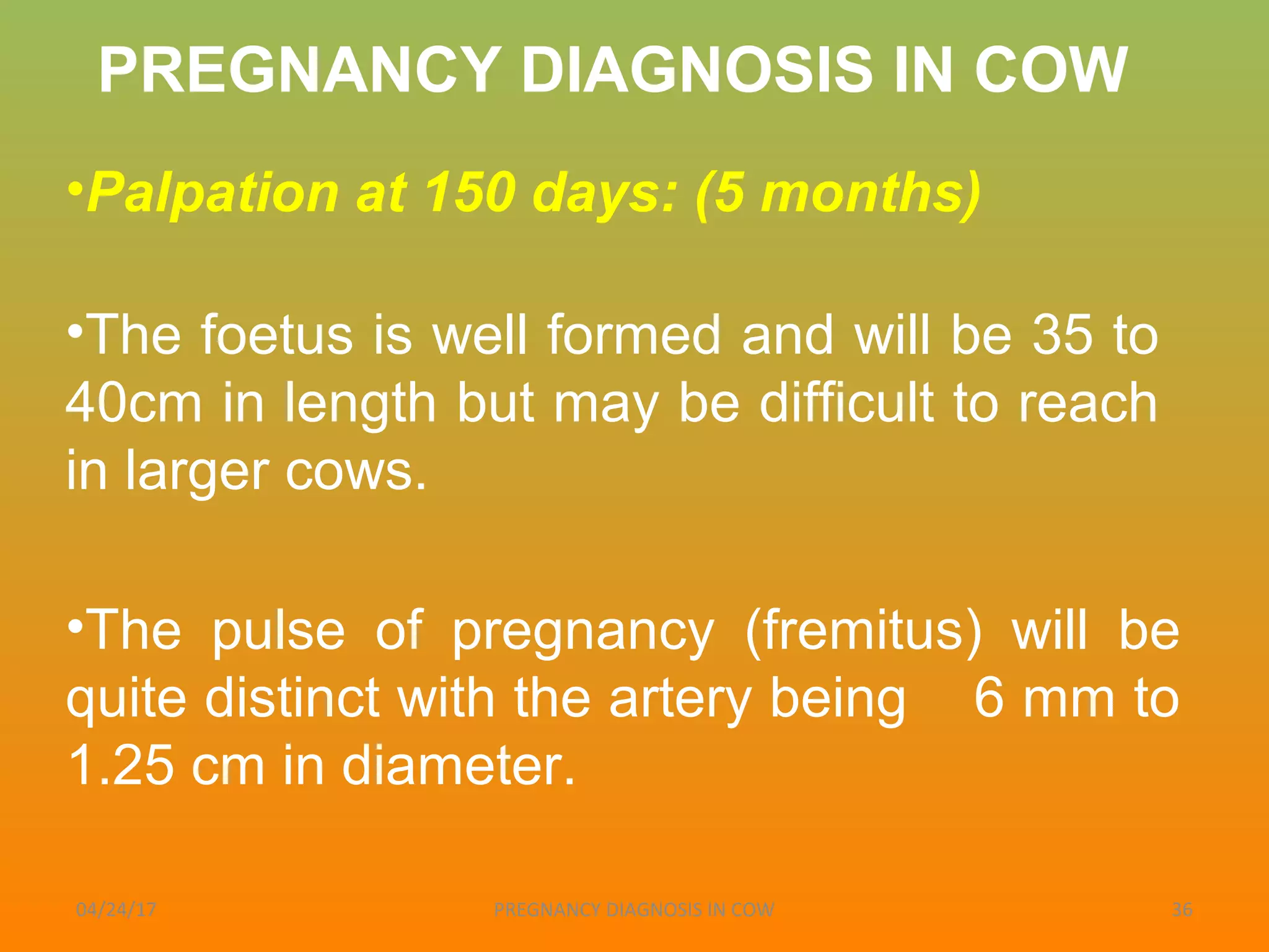 Pregnancy diagnosis in cow lecture 6 | PPT
