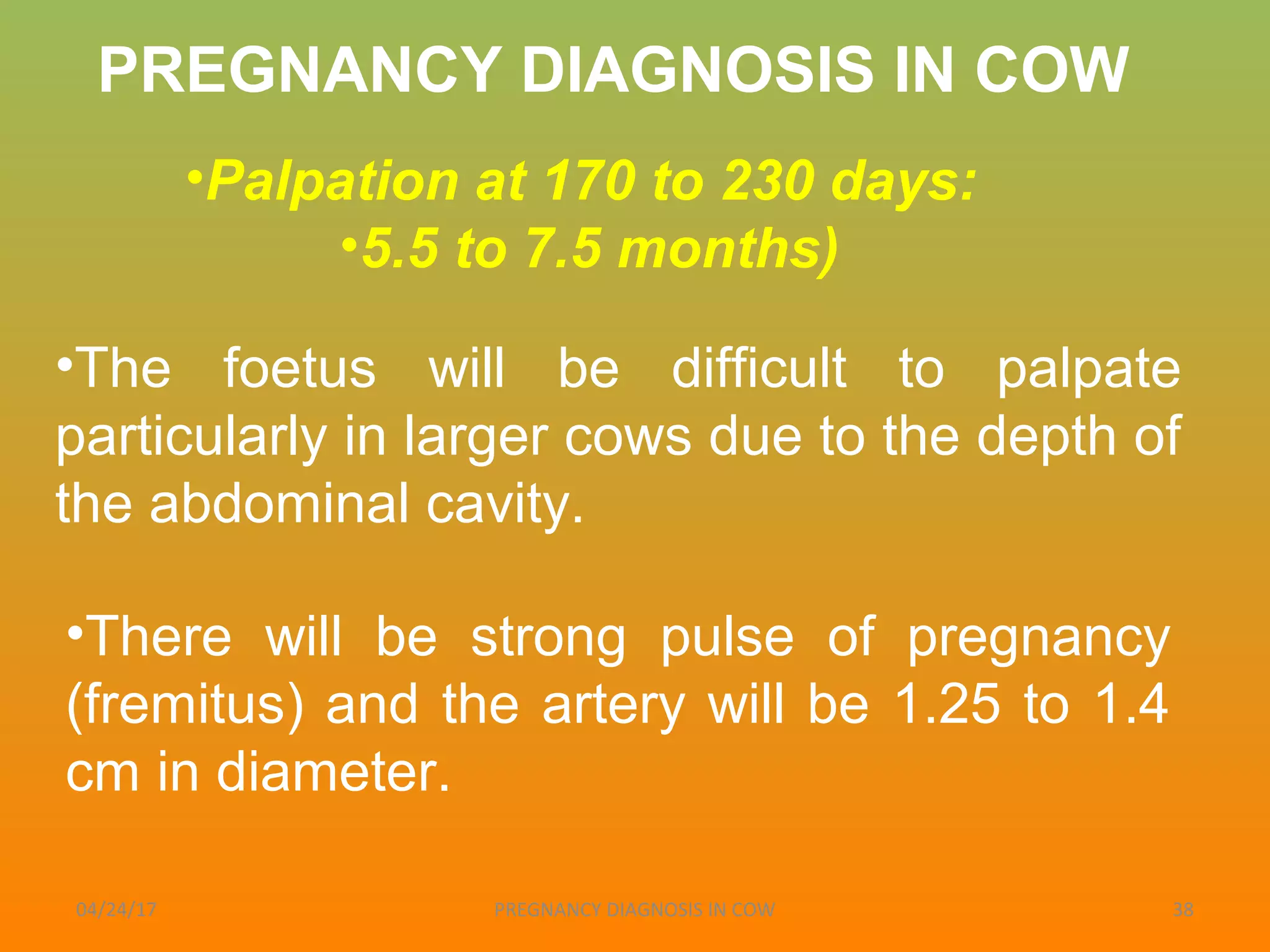 Pregnancy diagnosis in cow lecture 6 | PPT