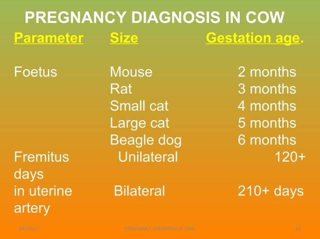 Pregnancy diagnosis in cow lecture 6 | PPT | Pregnancy | Reproductive ...