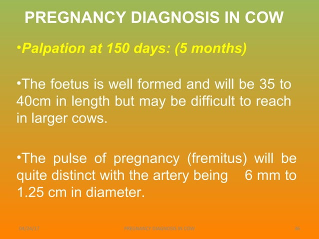 Pregnancy diagnosis in cow lecture 6 | PPT | Pregnancy | Reproductive ...