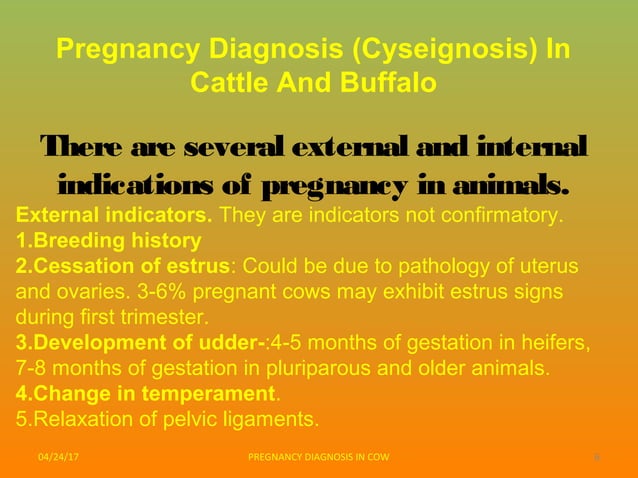 Pregnancy diagnosis in cow lecture 6 | PPT | Pregnancy | Reproductive ...