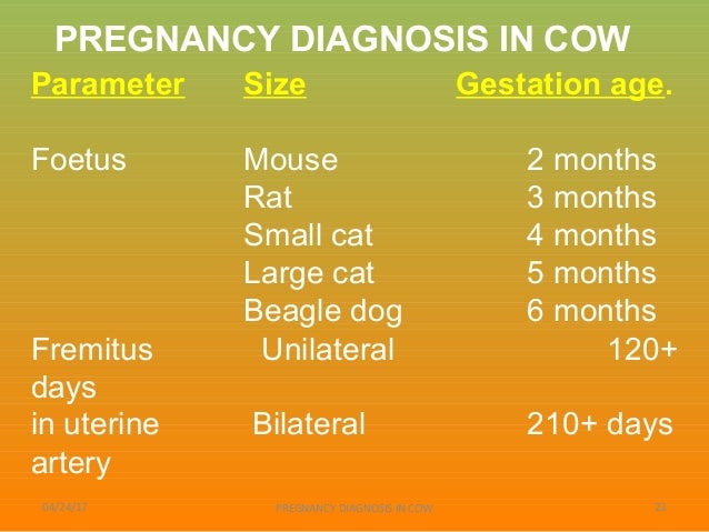 Pregnancy diagnosis in cow lecture 6