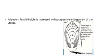 Diagnosis of Pregnancy, Interpretation and Differential Diagnosis | PDF
