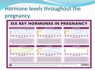 Role of hormones during pregnancy | PPTX