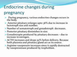 Role of hormones during pregnancy | PPTX