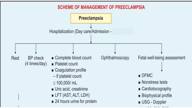 Pregnancy induced hypertension(PIH).pptx | Pregnancy | Reproductive Health