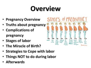 Pregnancy, labor, and childbirth | PPTX