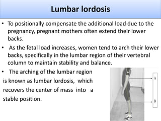 Pregnancy (physiological changes during pregnancy) | PPT