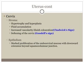 Physiology of Pregnancy for Undergraduates | PPT