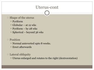 Physiology of Pregnancy for Undergraduates | PPT
